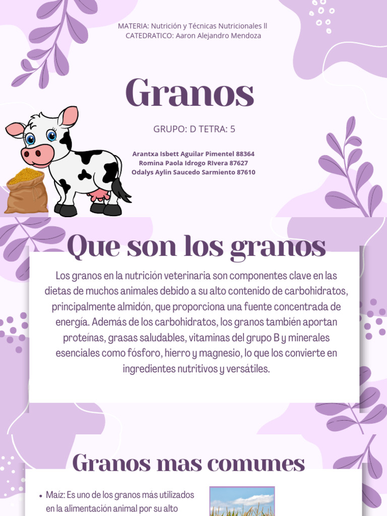 Granos Nutrición | PDF | Cereales | Nutrición