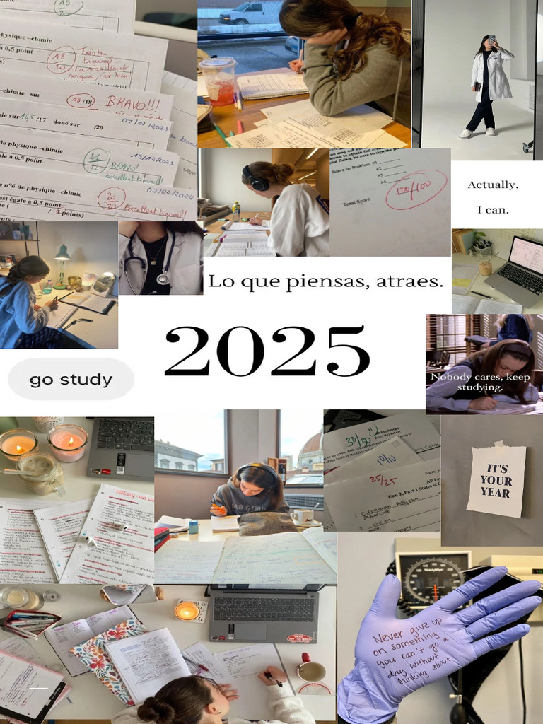 Inicio - Canva | PDF