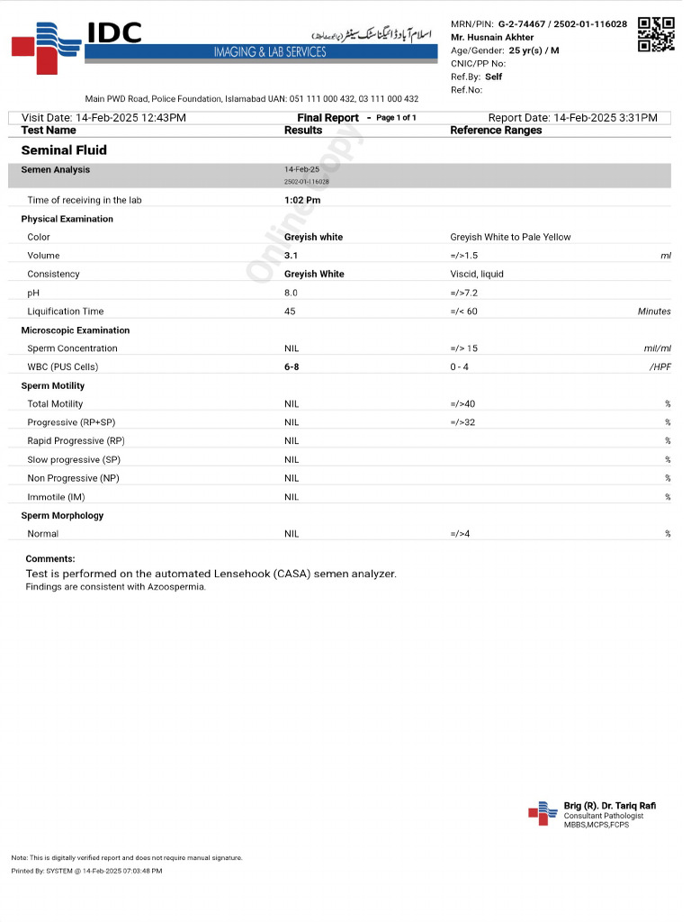 Patient Report PDF | PDF
