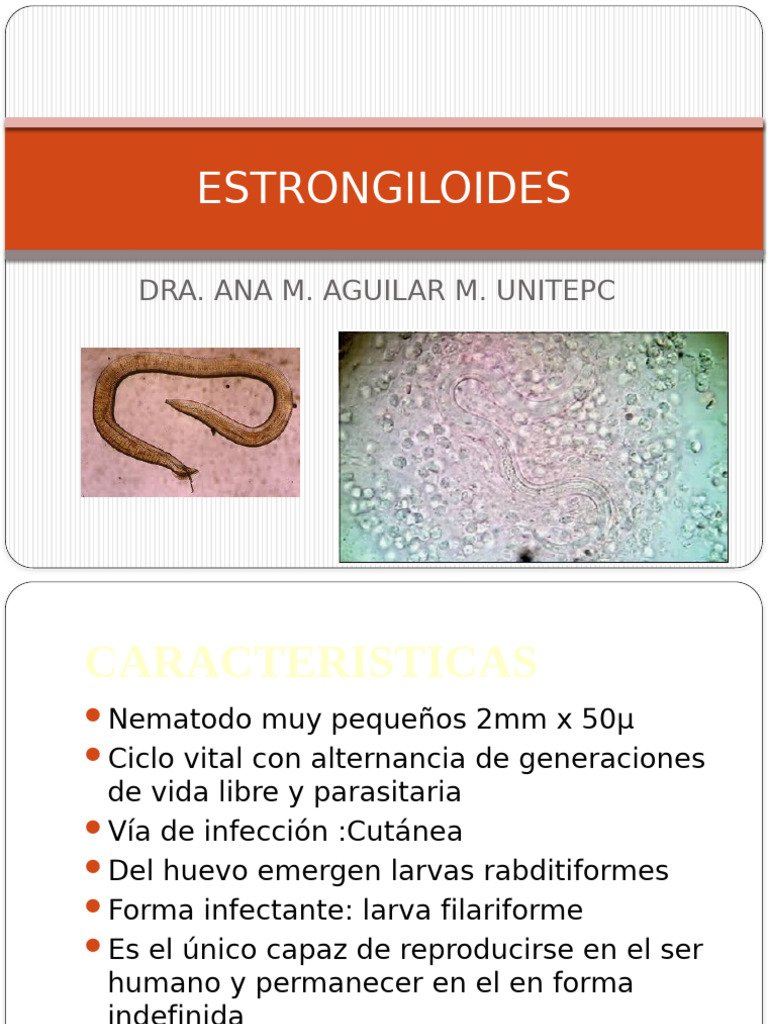 ESTRONGILOIDES | PDF