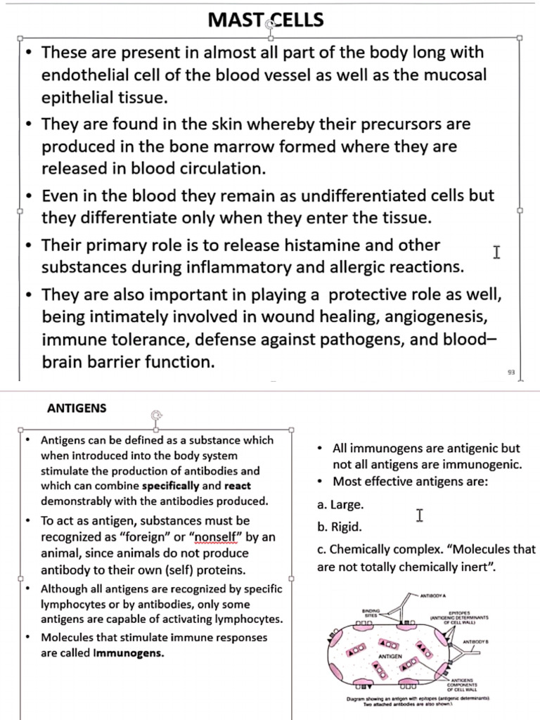 Mic 312 - Antigen | PDF