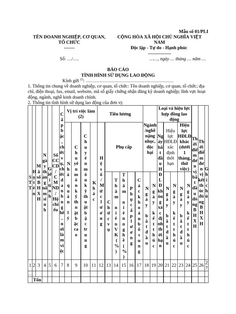 Báo Cáo Tình Hình LĐ Mỗi 6 Tháng Sở Lao Động Và Thương Binh XH | PDF