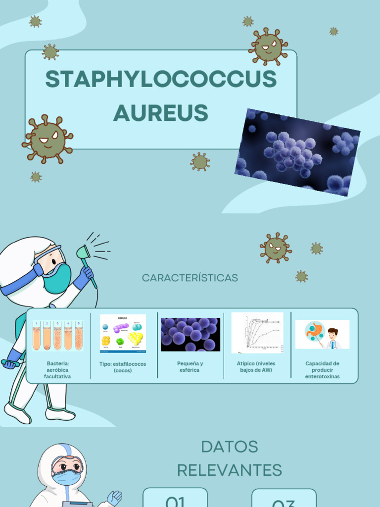 S. aureus | PDF | Alimentos | Staphylococcus Aureus