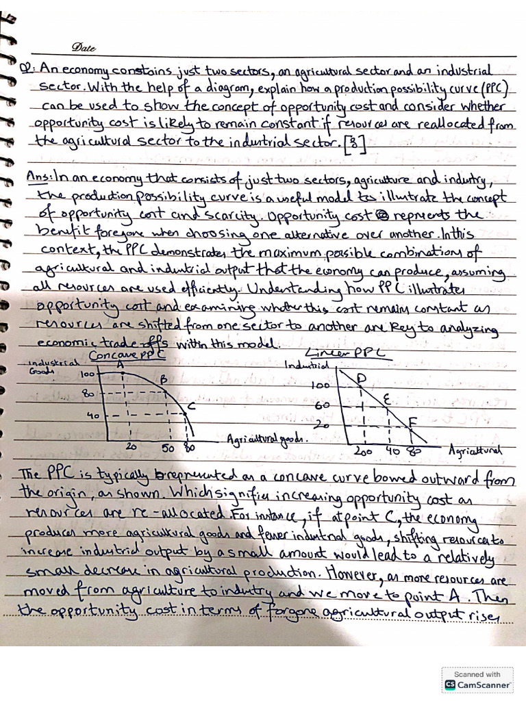 PPC Assignment | PDF