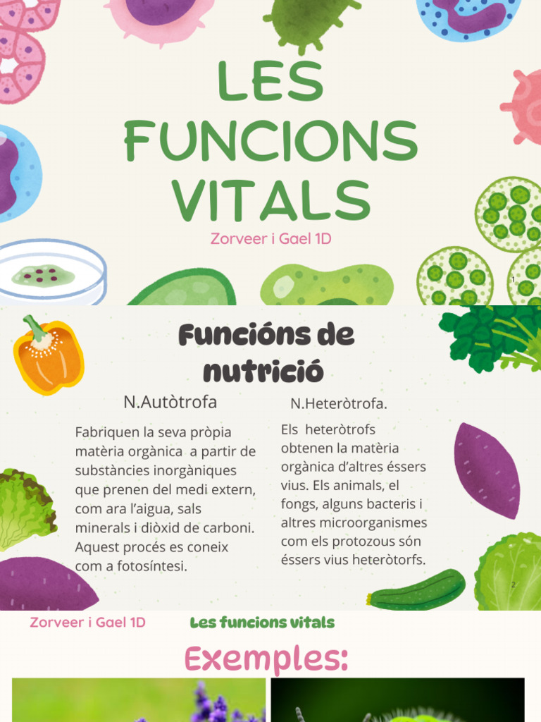 Les Funcions Vitals | PDF