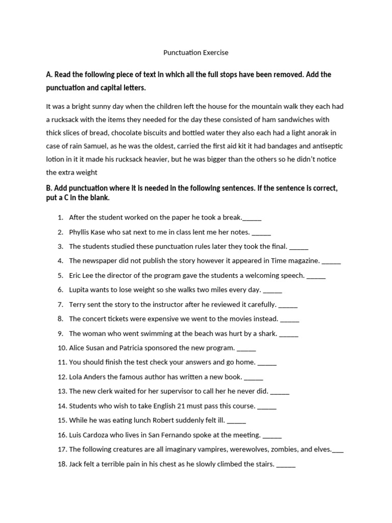 Punctuation Exercise | PDF