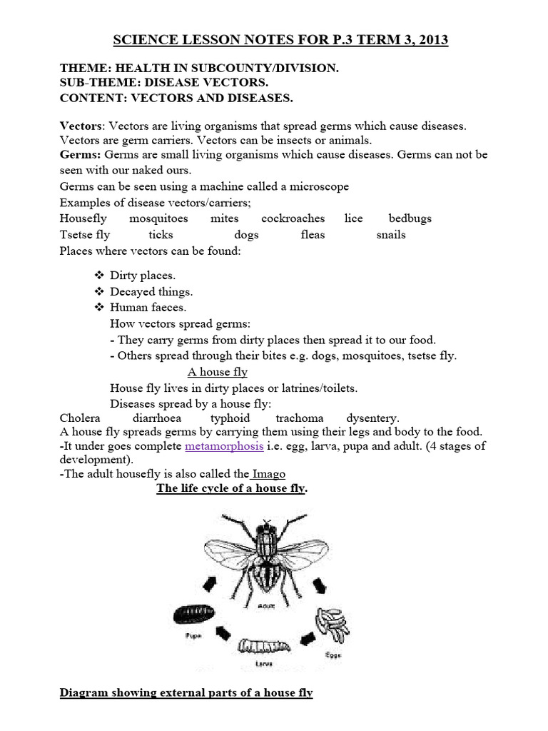P3 Science Lesson Notes For Term Iii | PDF | Mosquito | Malaria