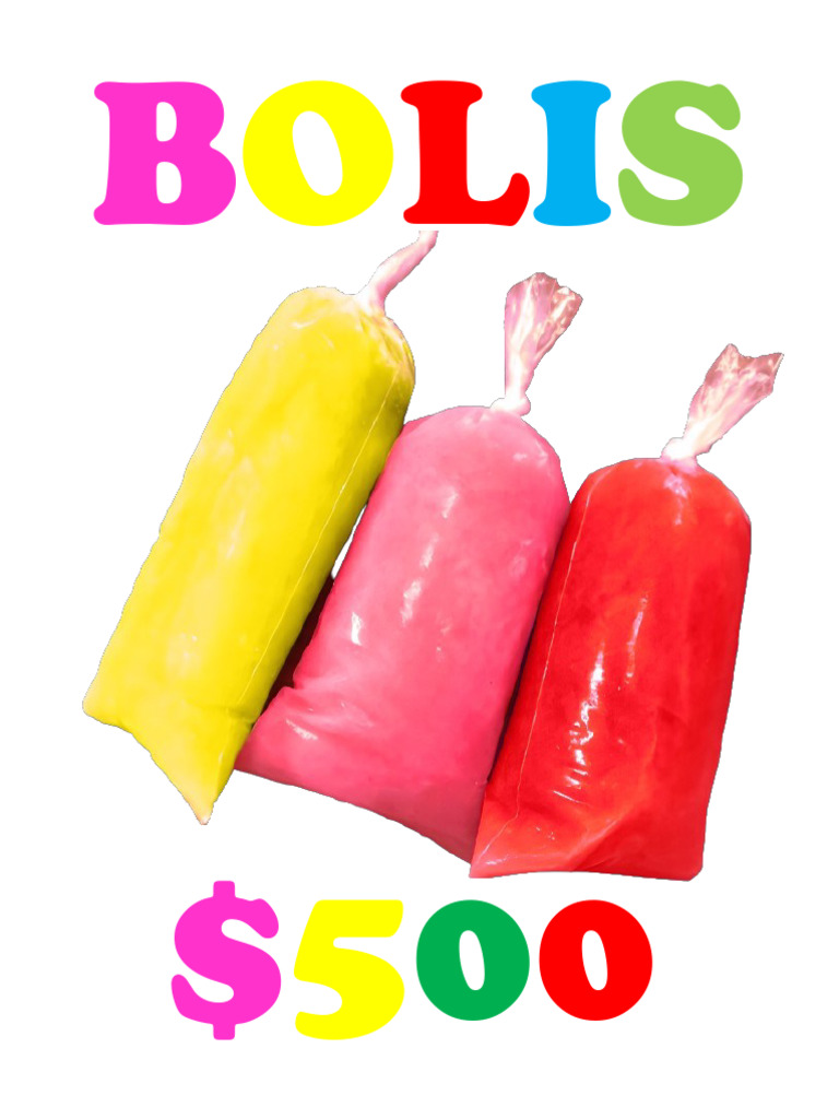 BOLIS Pricing Overview: $500 Plan | PDF