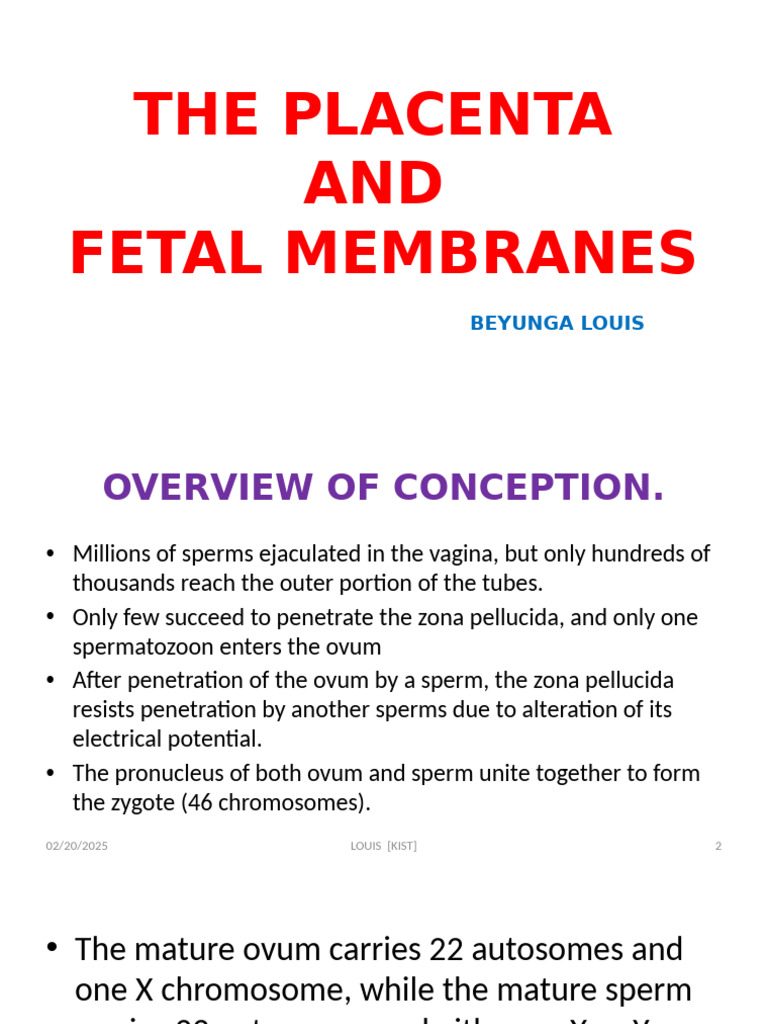 Understanding Placenta and Fetal Membranes | PDF | Placenta | Anatomy