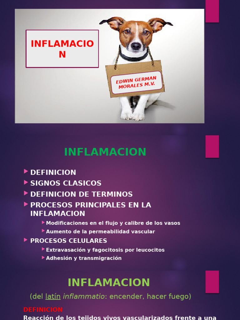 Fundamentos de la Inflamación | PDF | Inflamación | Edema