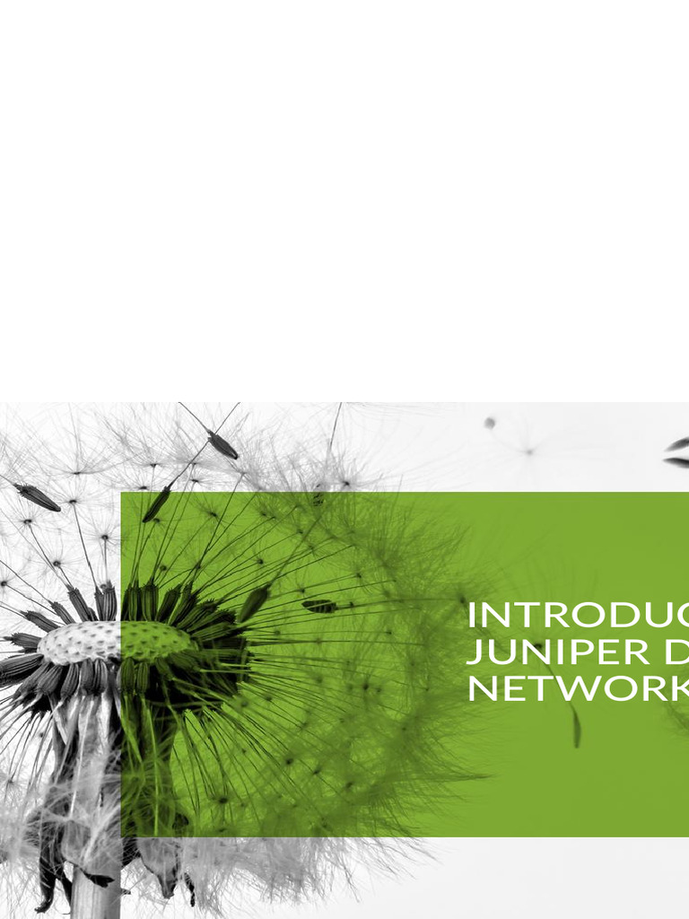 Introduction To Juniper Data Center Networking | PDF