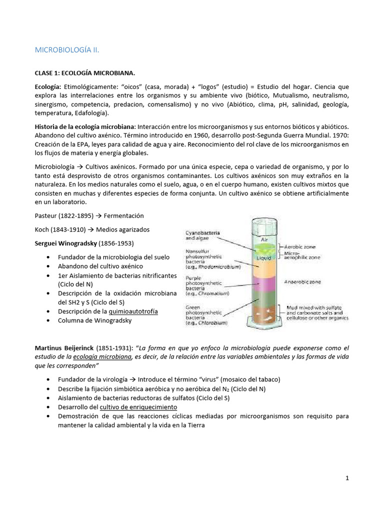 Resumen Micro II | PDF | Las bacterias | Infección