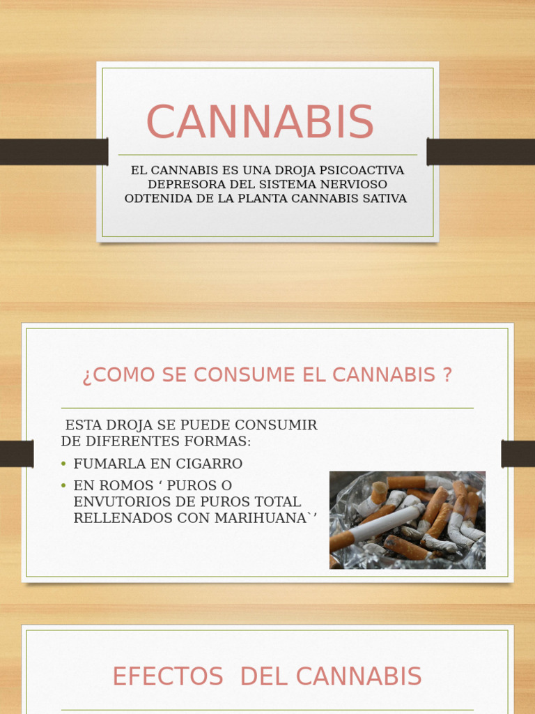 CANNABIS | PDF