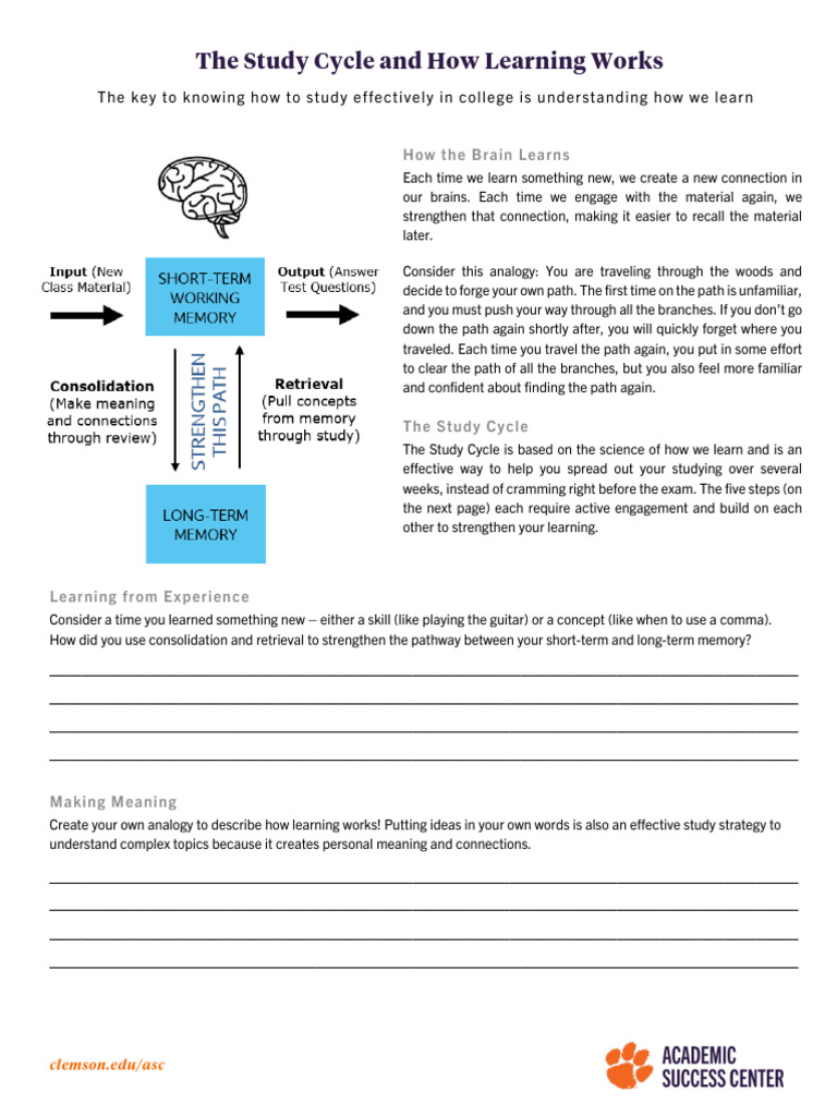 The Study Cycle and How Learning Works | PDF | Memory | Behavior Modification
