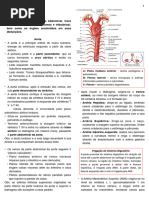 Anatomia do Sistema Venoso Ázigo | PDF | Fígado | Abdômen