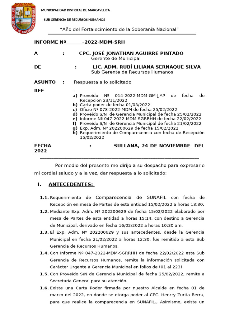 SUNAFIL | PDF | Esfera pública | Liderazgo