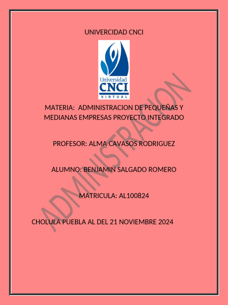 Administracion de Pequenas y Medianas Empresa Proyecto Integrado | PDF