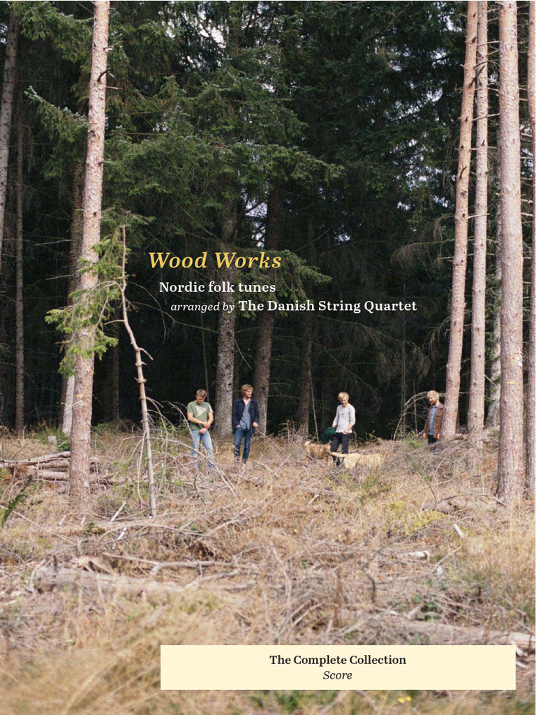 Wood Works - Full Score | PDF | Violin | Musicology