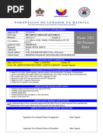 PLVCAT Application Guidelines 2024-2025 | PDF | Bachelor Of Science