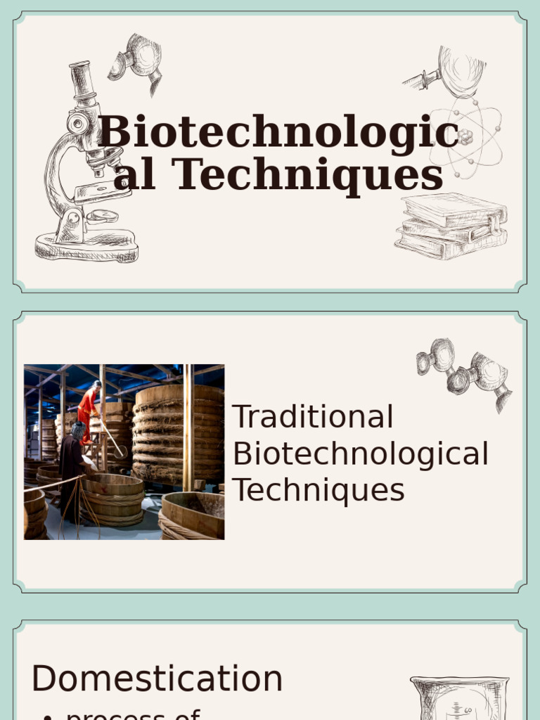 Traditional Biotech Techniques | PDF | Fermentation | Plant Breeding