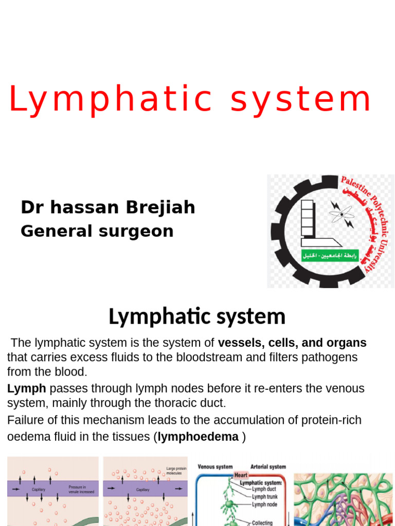 lymphatic system | PDF | Lymphatic System | Lymph