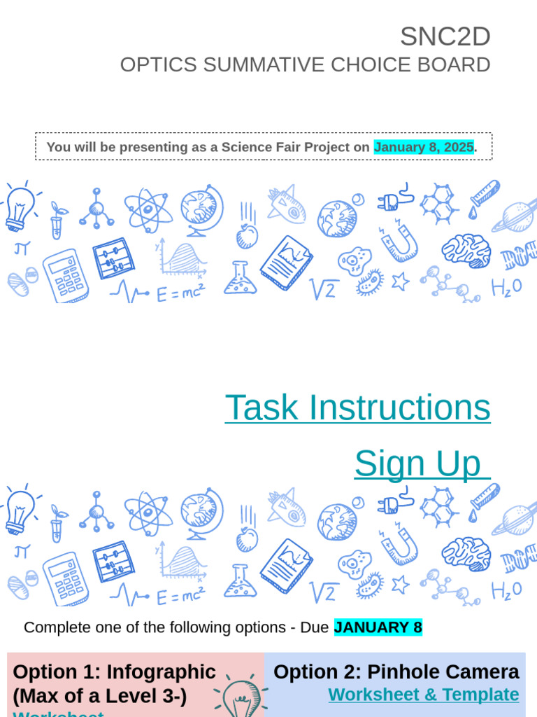 Optics Summative Choice Board | PDF