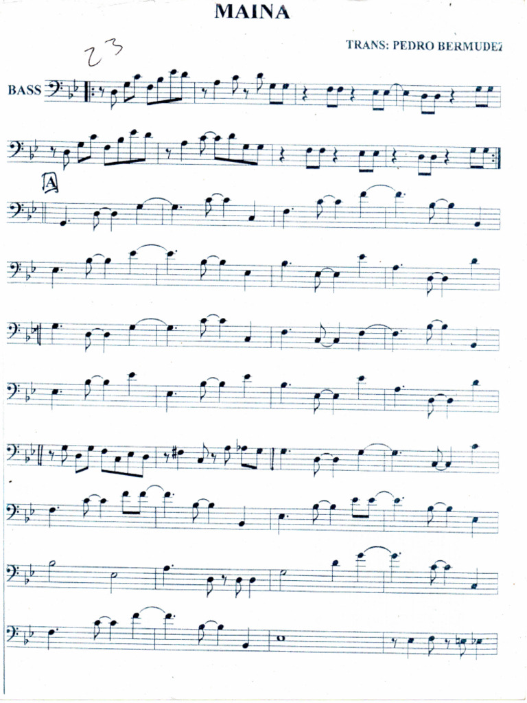 Maina bajo | PDF