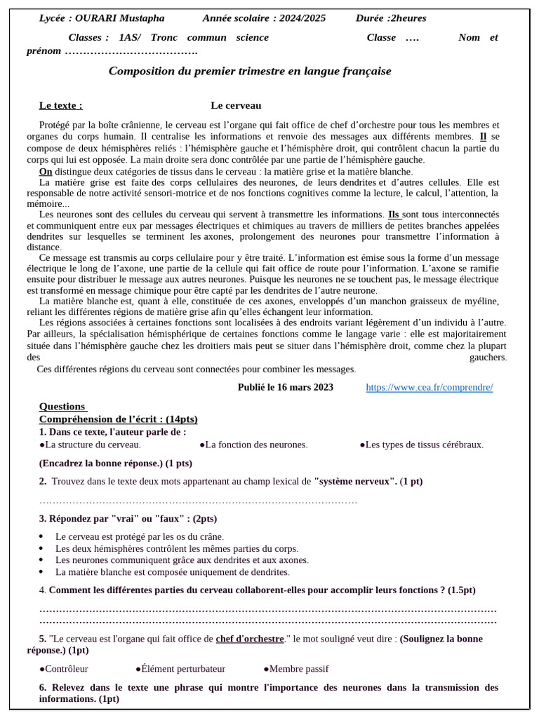 Composition du cerveau et ses fonctions | PDF | Cerveau | Neurone