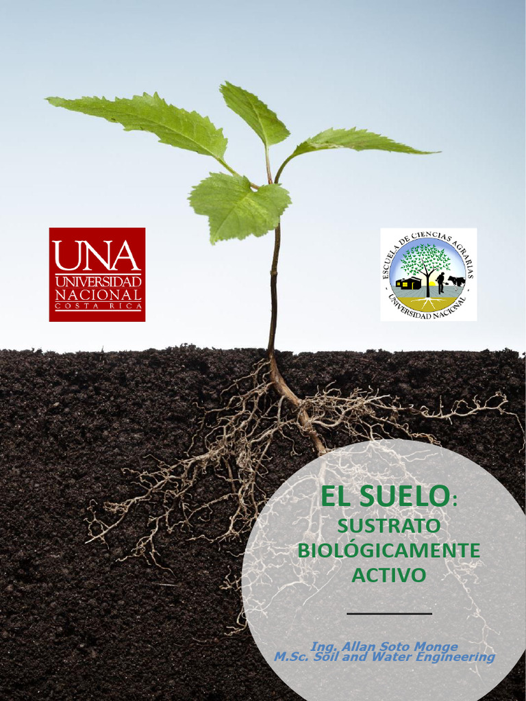El Suelo - Propiedades Fisicoquímicas - M.SC - Allan Soto Monge | PDF ...