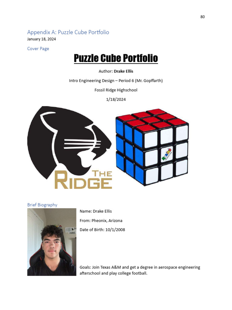 D.ellis - Puzzle Cube Portfolio.p6 | PDF