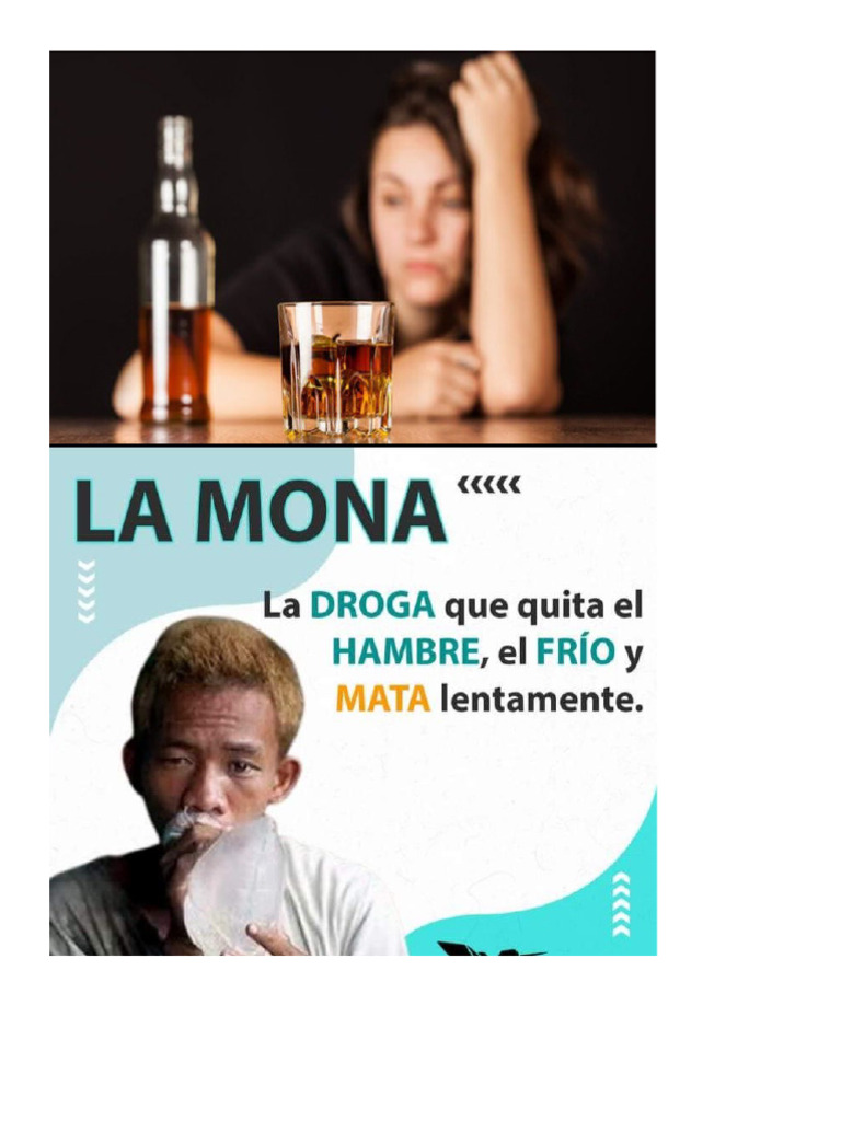 Plan nacional contra la drogas | PDF
