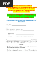 Modelo Carta Nombramiento | PDF