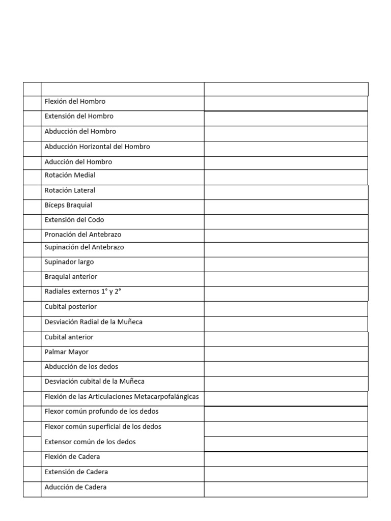 Evaluación de Movimientos Musculares | PDF | Sistema musculoesquelético ...