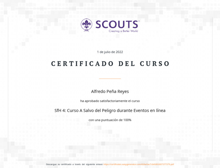 Certificado de Curso Completado | PDF