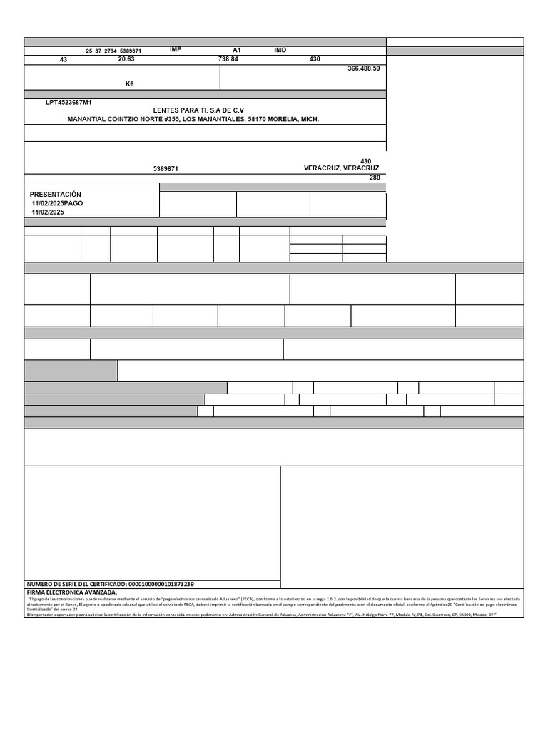 Formato Pedimento Exportacion | PDF | aduana | Business