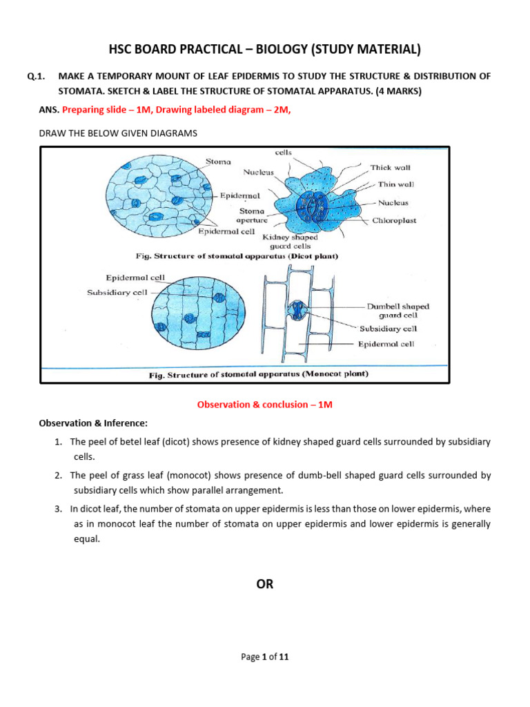 HSC Board Practical Study Material | PDF | Dominance (Genetics) | Meiosis