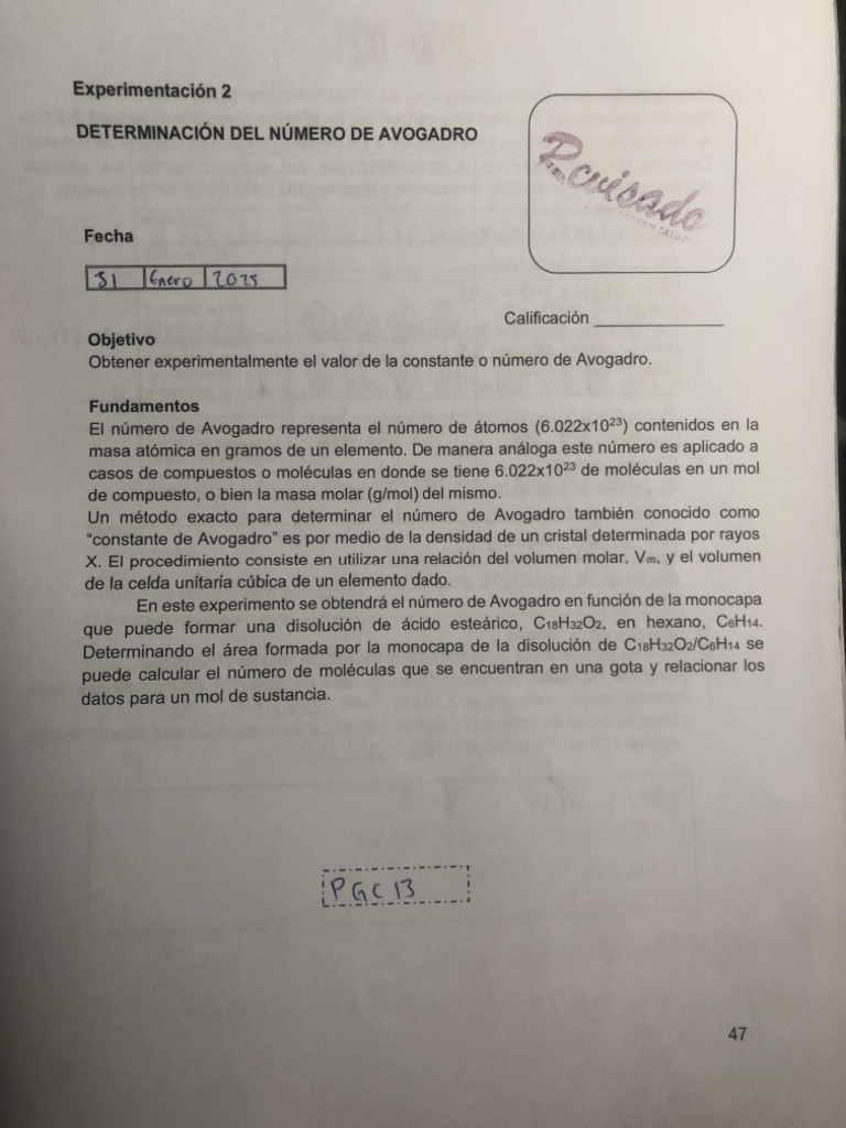 Conchas-Barba-Paula-E1 2 | PDF