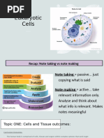 Cell Structure A Level Biology Notes | PDF | Wellness