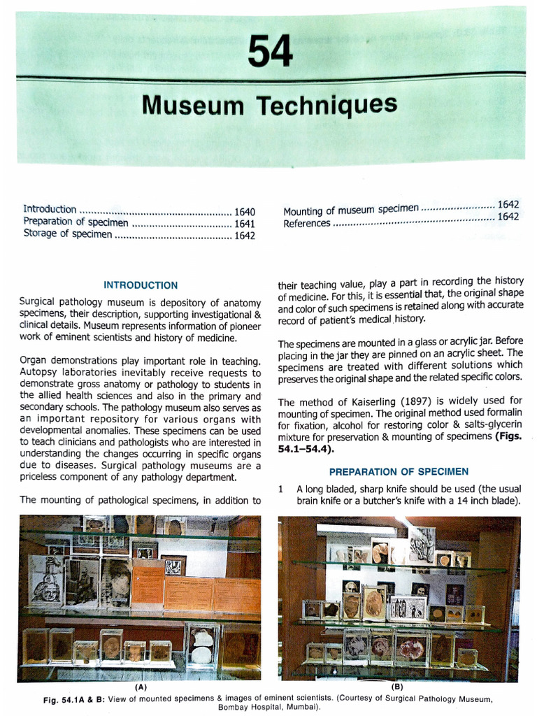Museum Specimen Mounting Techniques | PDF | Pathology | Fixation ...