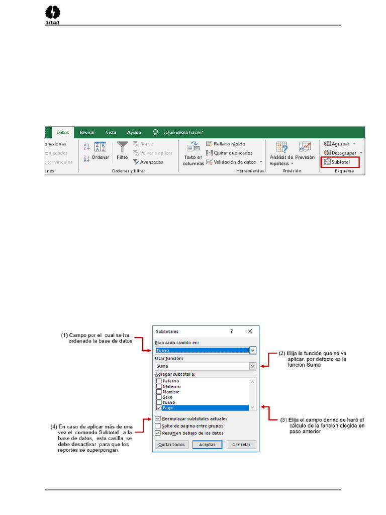 Cómo usar Subtotales en Excel | PDF | Bases de datos | Microsoft Excel