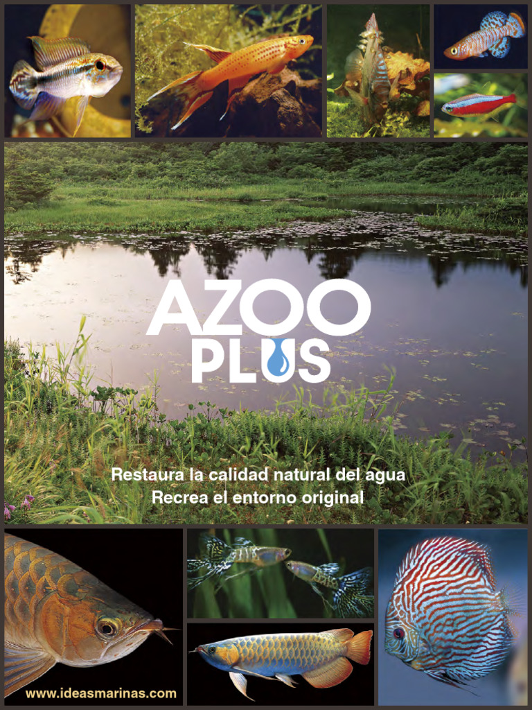 Catalogo Azoo Plus 2020 Ca | PDF | Acuario | Las bacterias