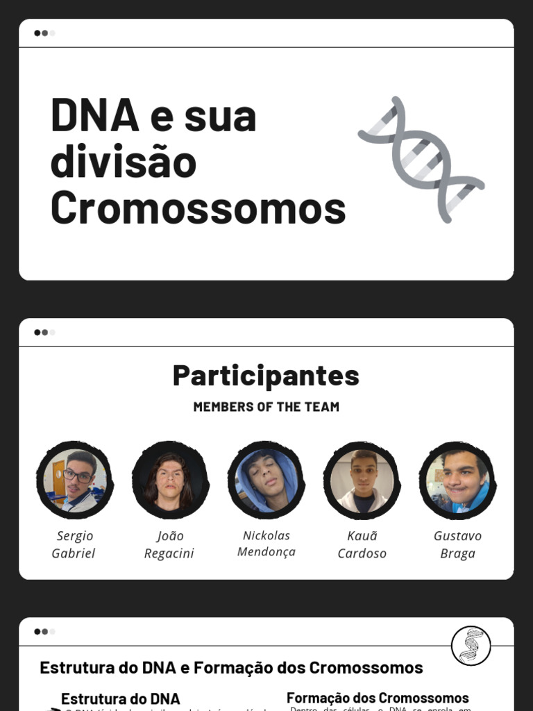 Estrutura e Função do DNA | PDF | DNA | Célula (Biologia)