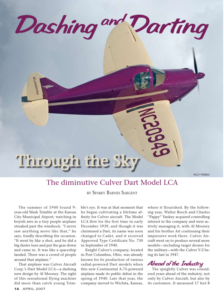 2007 Vol. 35 No. 04 Dashing and Darting Through The Sky | PDF ...