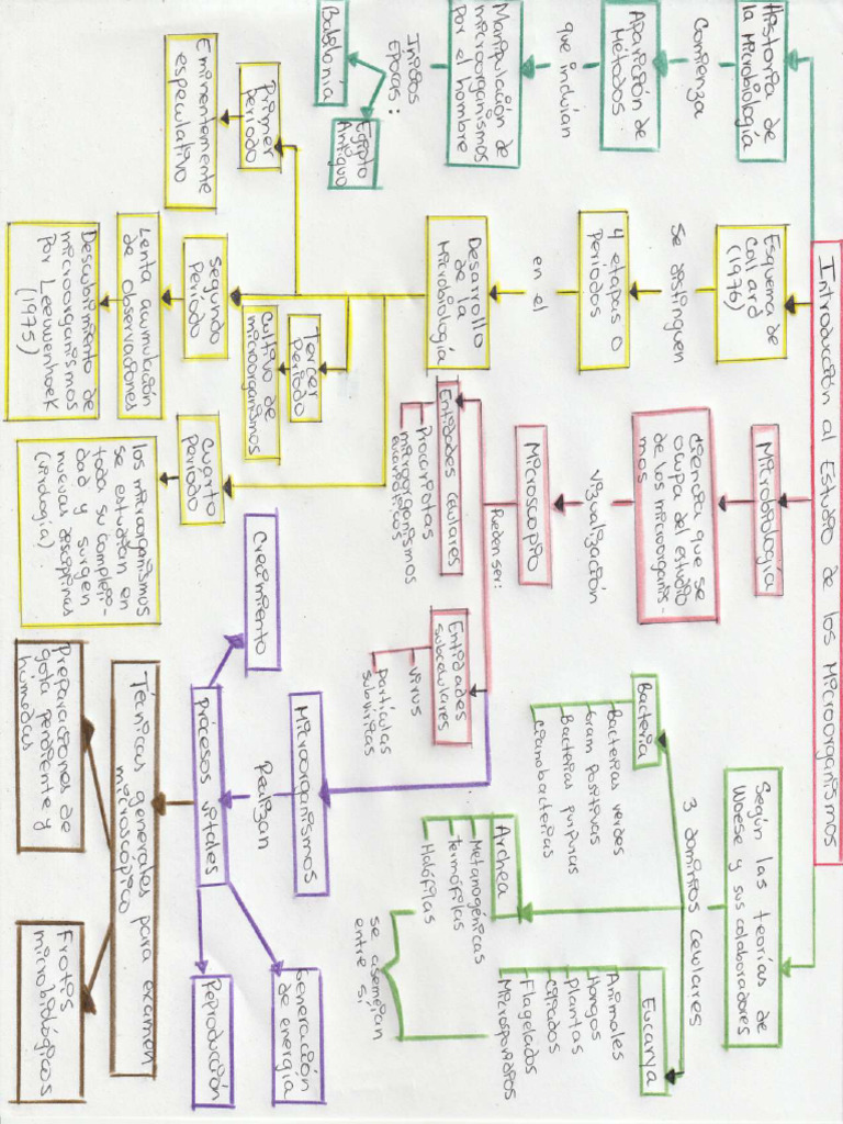 Mapa Conceptual | PDF