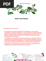 Espermatófitas | PDF | Plantas | Botânica
