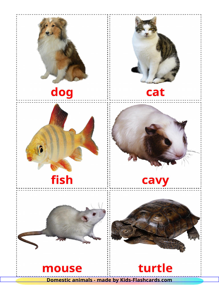 Free Printable Domestic Animal Flashcards | PDF