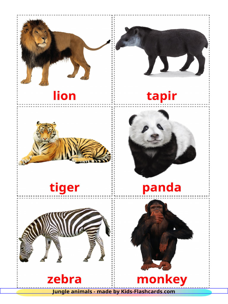 Free Jungle Animal Flashcards | PDF