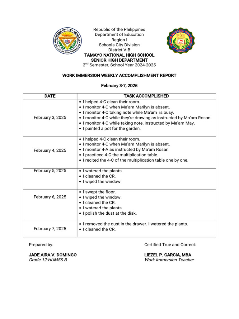 4 Weekly Accomplishment Report | PDF