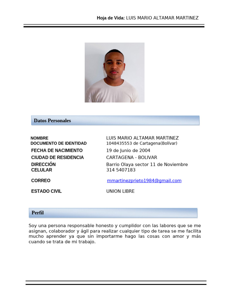 PDF - Hoja de Vida Luis Mario Altamar Martinez | PDF