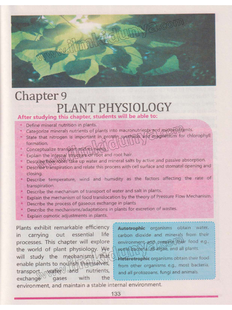 9th Biology Chapter 9 | PDF